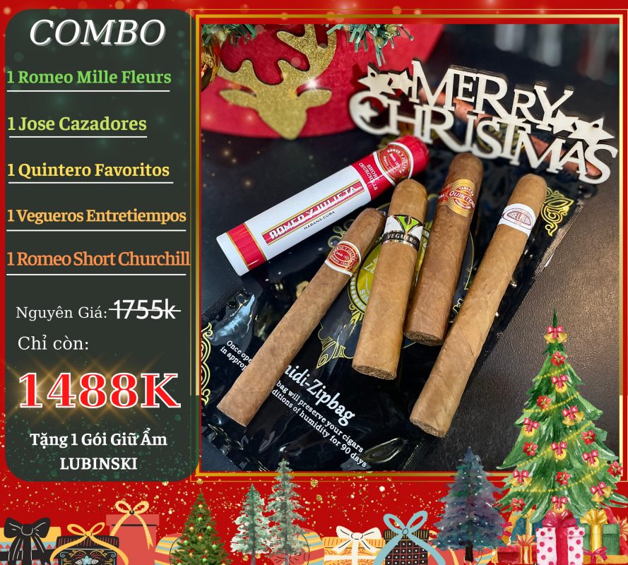 Combo 22 - High Collection